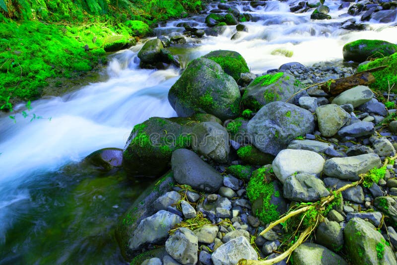 The flow of a strream. stock photo. Image of stones, oregon - 70760974