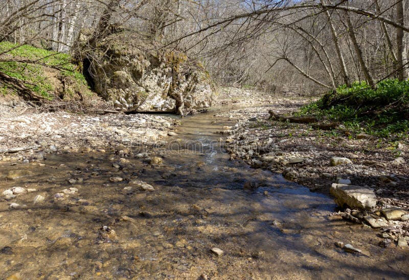 The Flow of Water Along the River Bottom in the Middle of Spring with ...