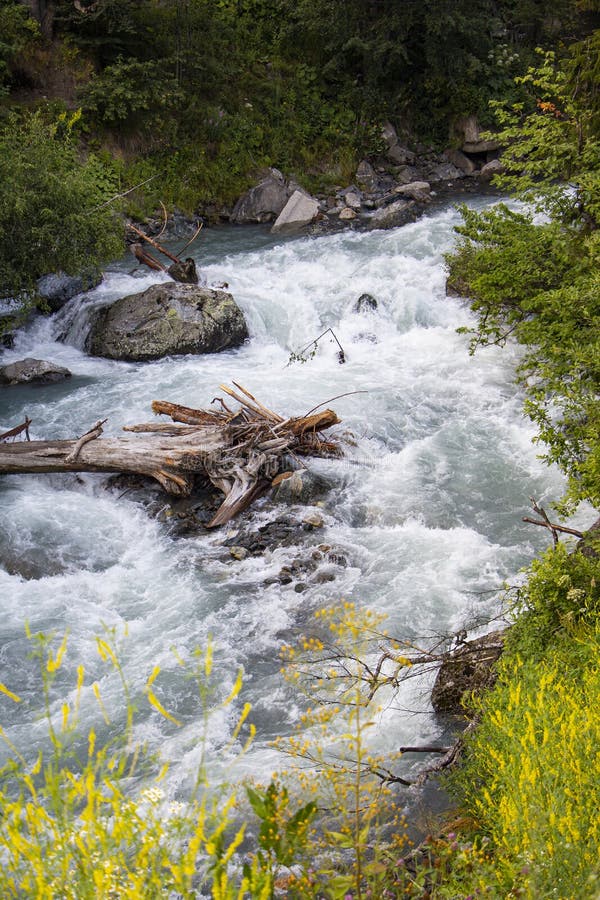 The Flow of Water in a Clear Mountain River. Environmental Protection ...