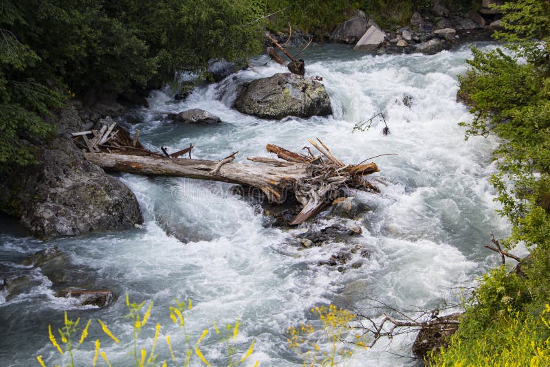 The Flow of Water in a Clear Mountain River. Environmental Protection ...