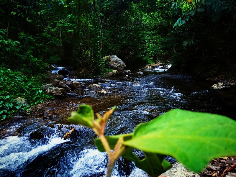 The Flow of Water that Comes from the Mountain in the Form of a Riverï ...