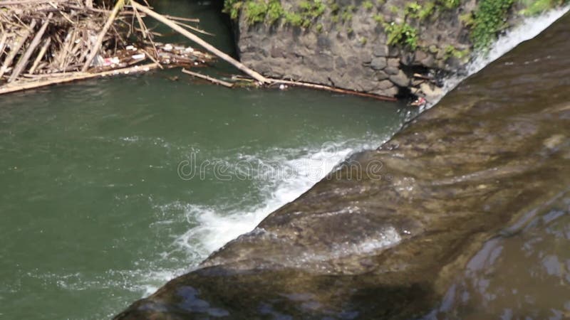 Clear Water Flow in Shallow Rivers Stock Footage - Video of tropical ...