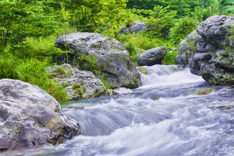 Waterflow stock image. Image of peaceful, river, foliage - 225538303