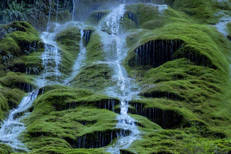 Spring Water Flowing on Moss in the Mountains. Stock Image - Image of ...