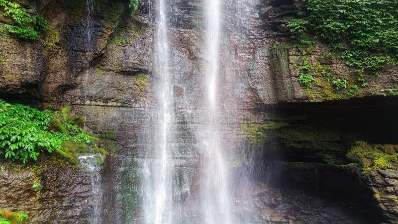 Fresh Flow of Water from a Natural Spring in the Middle of the Forest ...