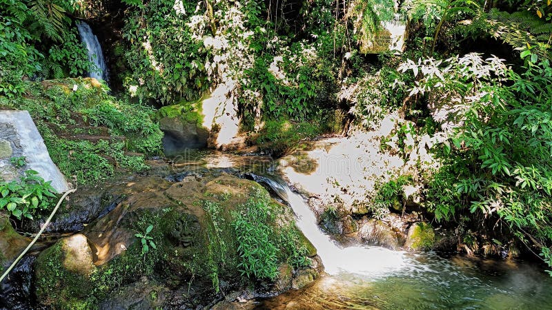 Flow of Water from a Natural Spring in the Side of River Stock Image ...