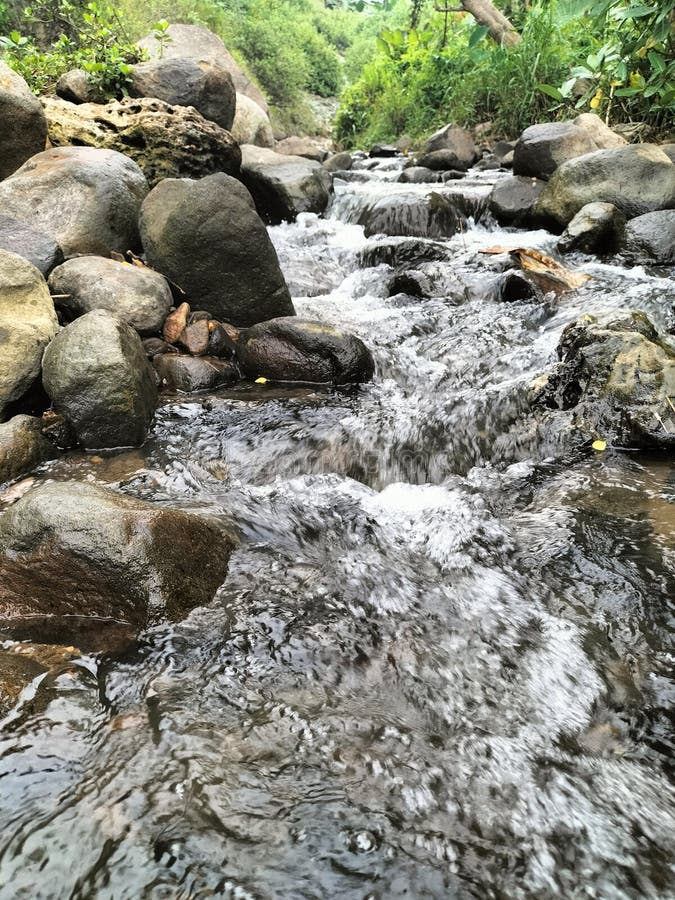 The Flow of Water in the River that Calms the Mind Stock Photo - Image of pond, wildlife: 264103764