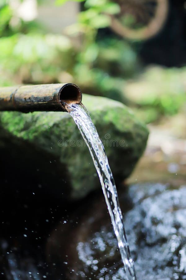 The Flow of Water in a River that Flows through Bamboo in the Middle of ...