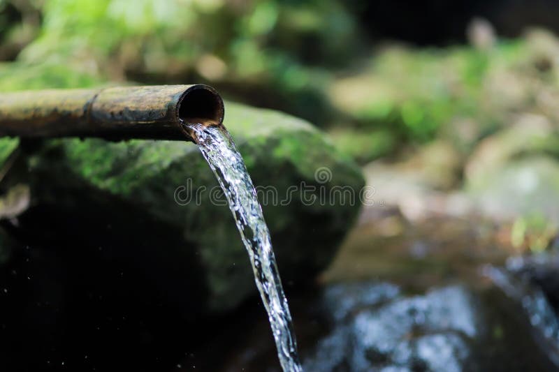 The Flow of Water in a River that Flows through Bamboo in the Middle of ...