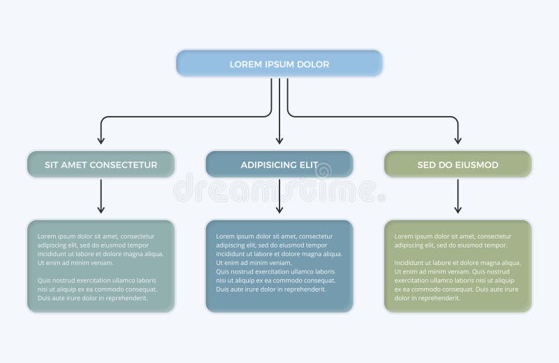 Branches Infographics Template Stock Illustrations – 155 Branches ...