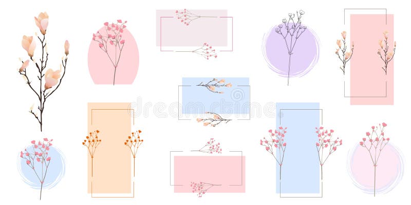 Vector Illustration of Decorative Square Flower Frames of Blooming ...
