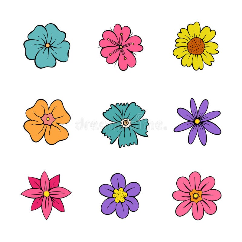 Flower Vector Illustration. Flower Petals in Various Colour Stock ...