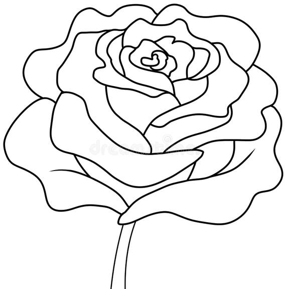 Curved Drawing Flower Stem Stock Illustrations – 536 Curved Drawing ...