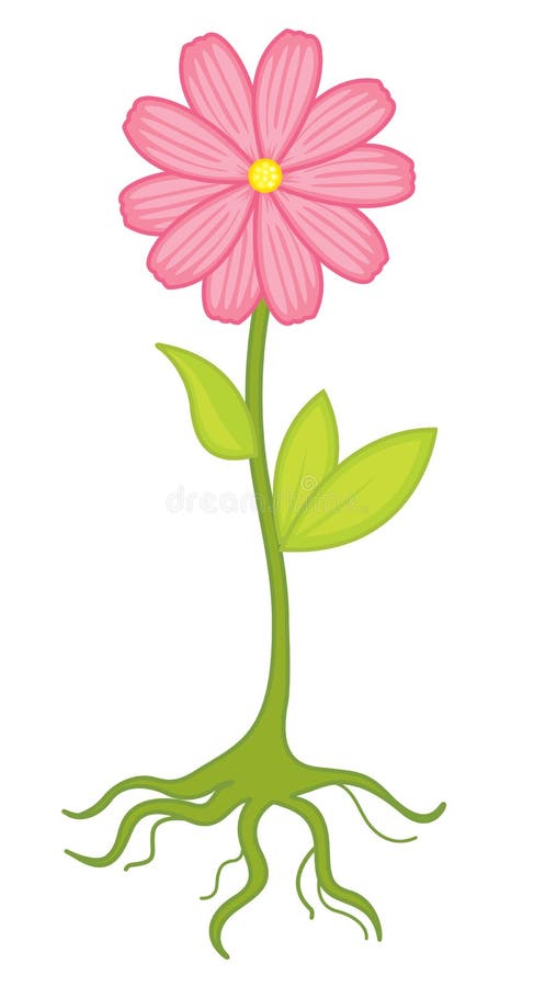 Flower stock vector. Illustration of flowers, leaf, root - 9705979