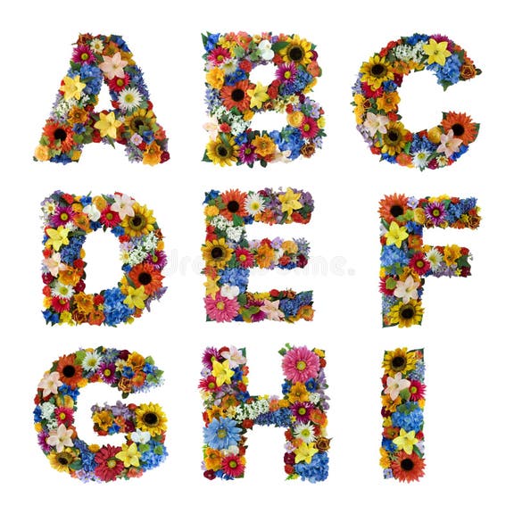 Flower Alphabet stock photo. Image of leaf, concept, daisies - 6545722