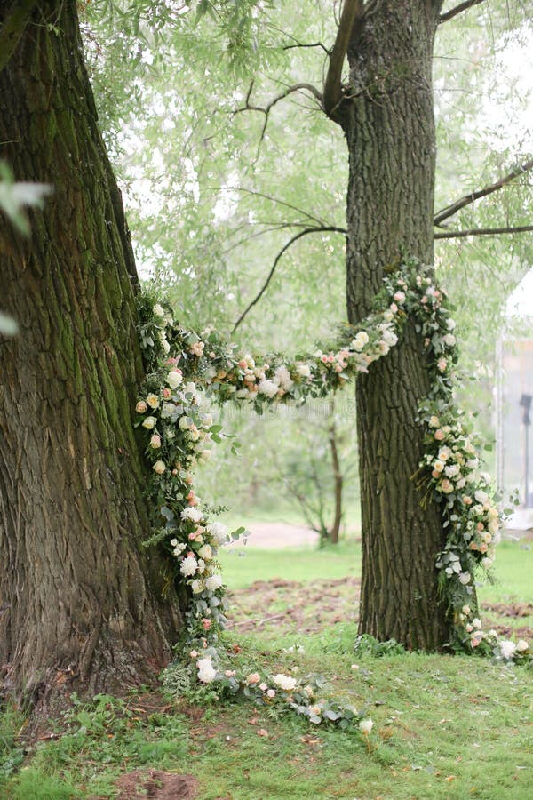 Flower Arch for Wedding and Trees. Stock Image - Image of ornamental ...