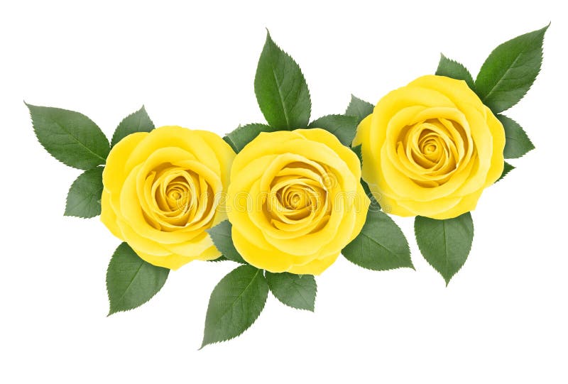 Yellow Roses Clip Art