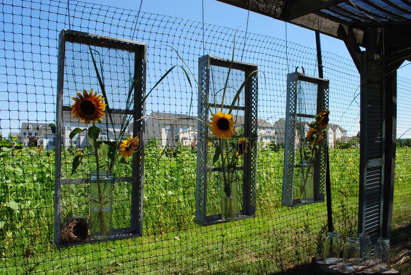 Flower Arrangement on a Wire Frame Stock Photo - Image of bloom, wire ...