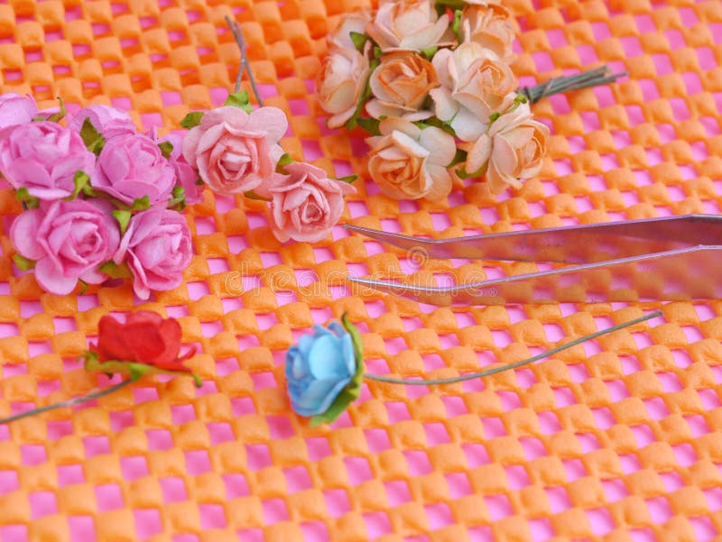 451 Flower Grid Frame Background Stock Photos - Free & Royalty-Free ...