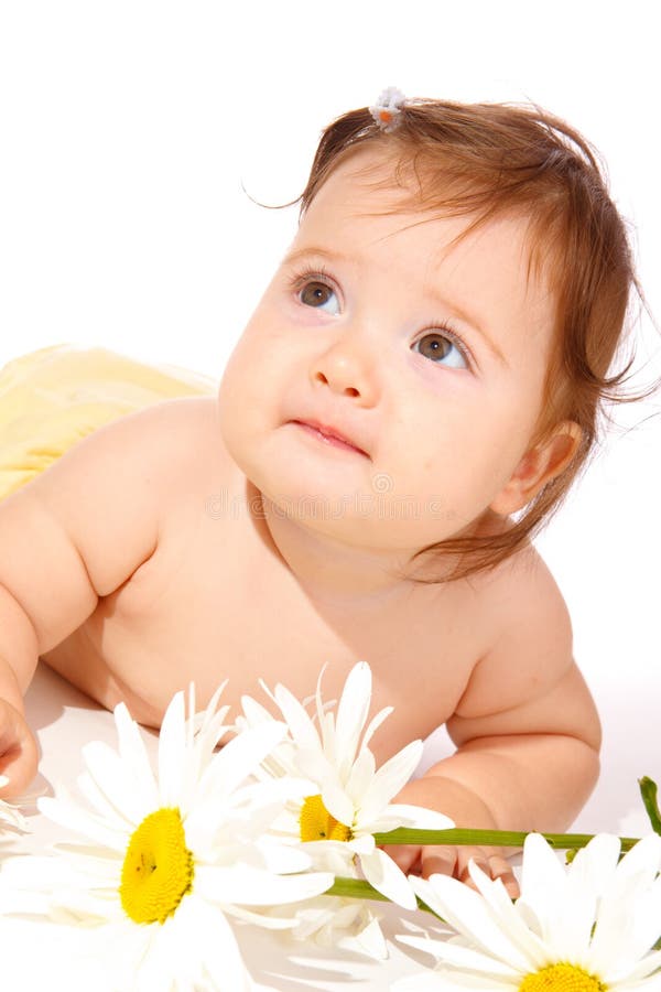 Flower baby stock image. Image of camomiles, happiness - 11542103