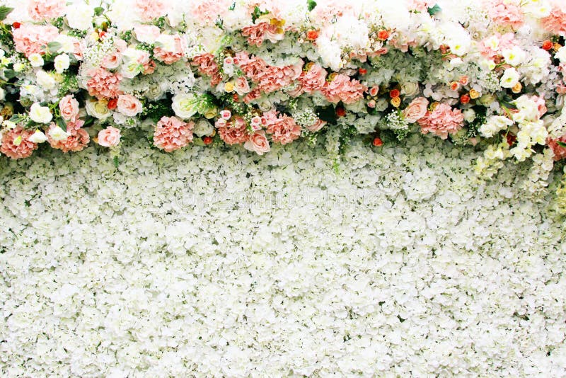 9,600+ Flower backdrop Free Stock Photos - StockFreeImages