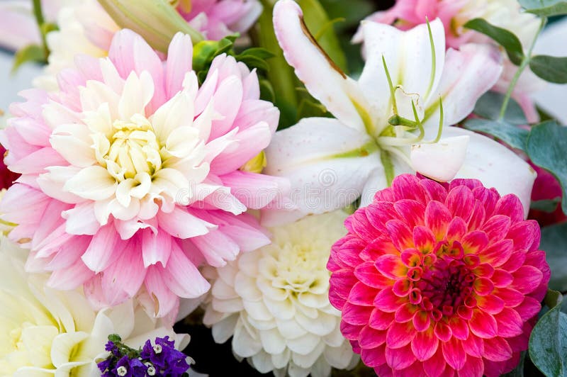 Flower background stock image. Image of price, centerpiece - 1103545