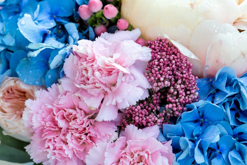 Flower Background With Amazing Pink Carnations Bouquet Of Gentle