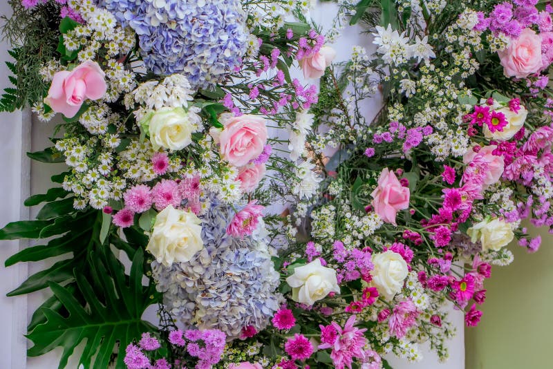 Flower Background or Backdrop Stock Photo - Image of bunch, leaf: 255220468