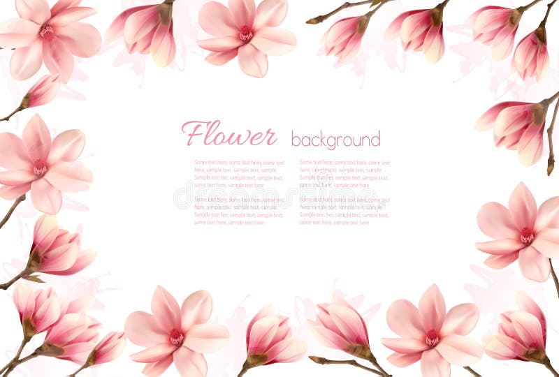 Flower Background with a Border of Pink Magnolia Blossoms. Stock Vector ...