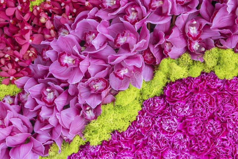 Texture of Different Flowers, Top View. Stock Photo - Image of flower ...