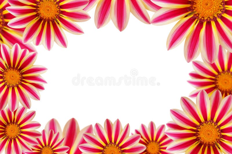 Yellow Flower Daisy Border Stock Illustrations – 5,412 Yellow Flower ...