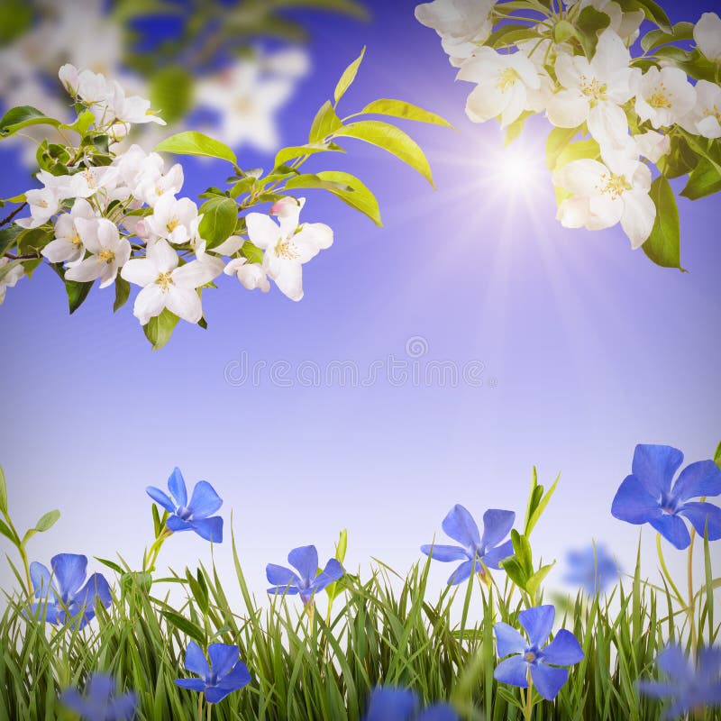 744 Blinking Flowers Stock Photos - Free & Royalty-Free Stock Photos ...