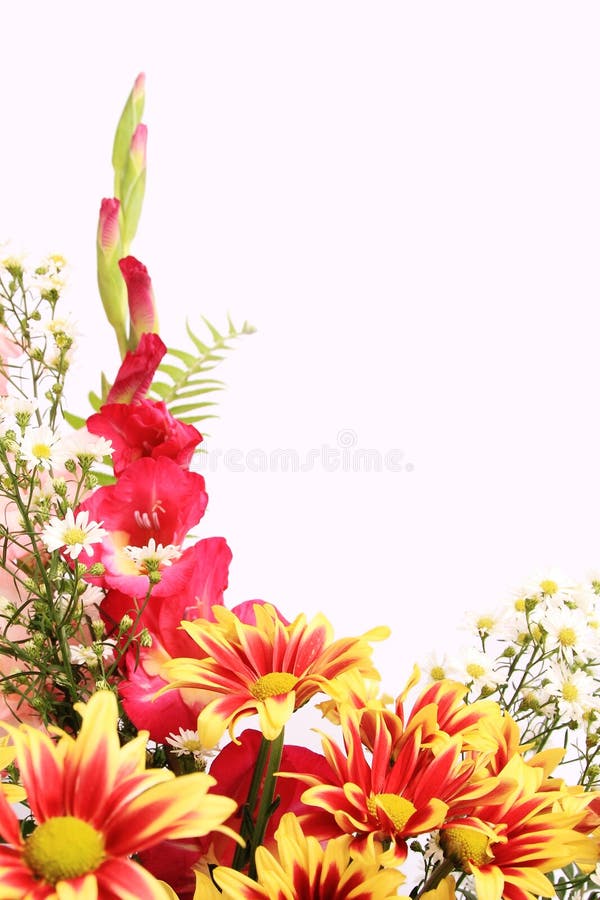 Flower background stock photo. Image of floral, border - 37272348