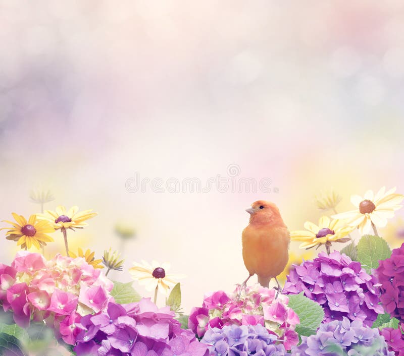Flower Background with a Yellow Bird Stock Image - Image of animal ...