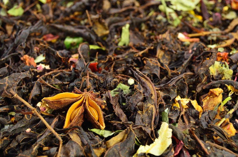 Flower of Badjan on Herbal Tea Stock Photo - Image of heap, group: 35306806