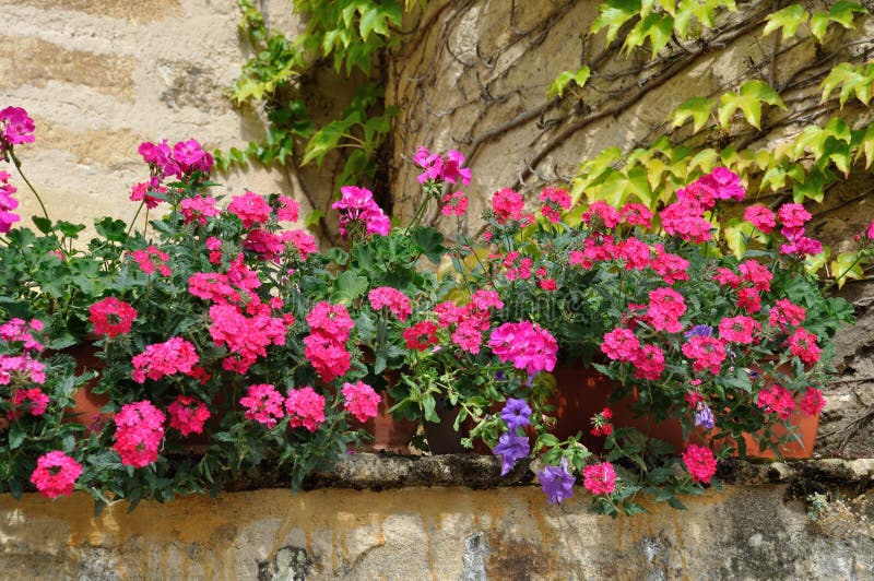 Balcony with Red Geranium Flowers Stock Photo - Image of facade, blue ...