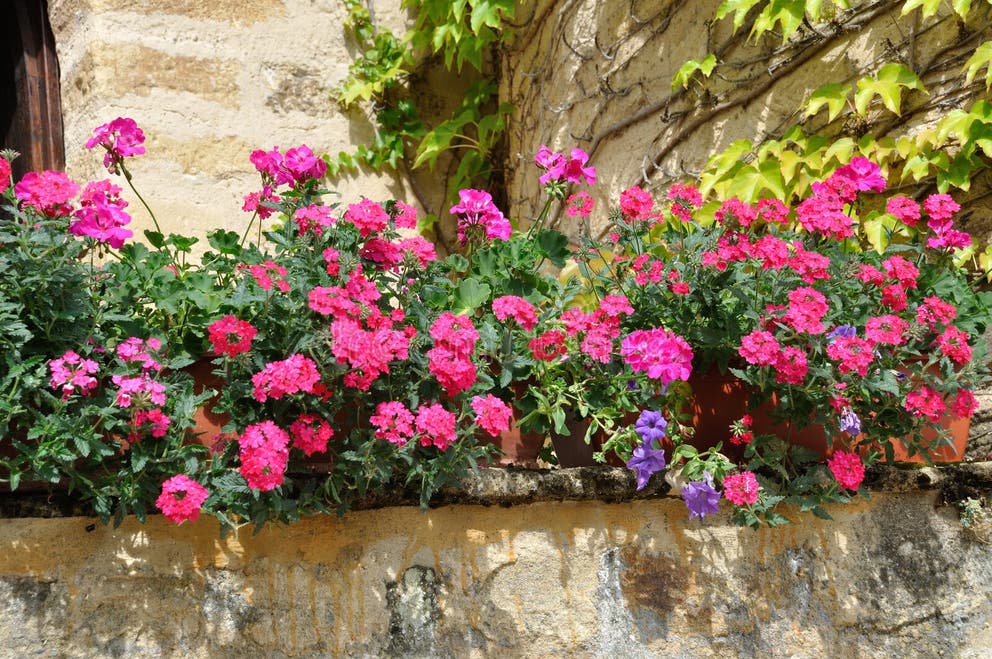 Flower Balcony with Geranium Stock Image - Image of balcony, faade ...