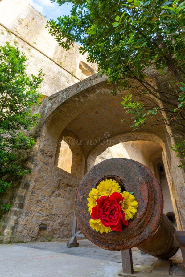 Flower in the Barrel of a Cannon Stock Photo - Image of barrel ...
