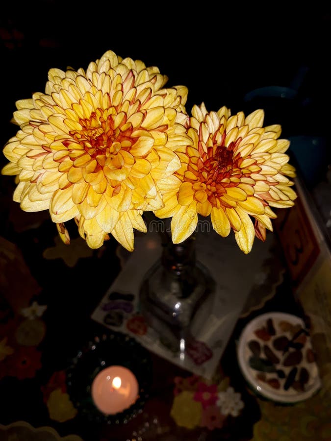 Flower in the base stock image. Image of candle, light - 188503009