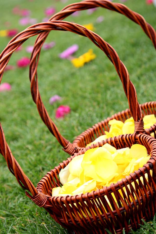 Flower basket stock photo. Image of greenery, garden, porch - 4024880