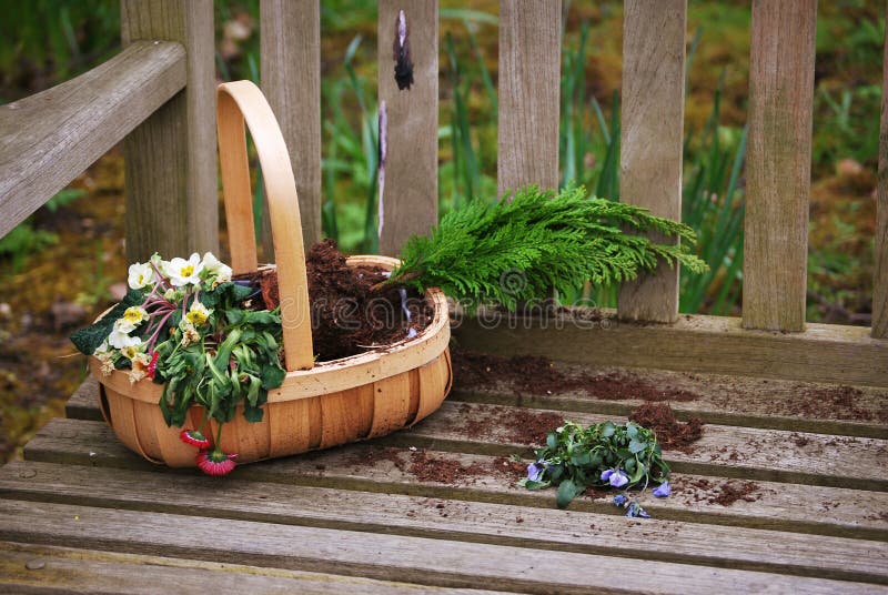 Flower basket stock photo. Image of united, great, dead - 24902730