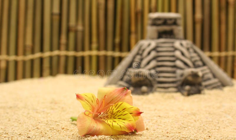 Flower on Beach with Aztec Pyramid in Background Stock Photo - Image of ...