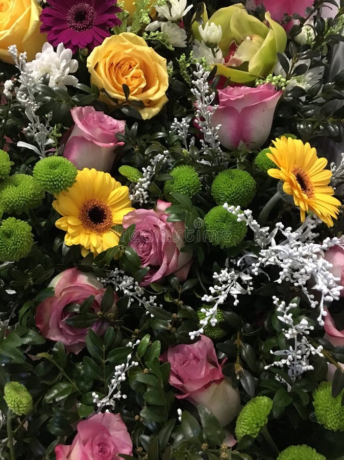 Flower stock photo. Image of flowers, roses, multicolour - 111767746