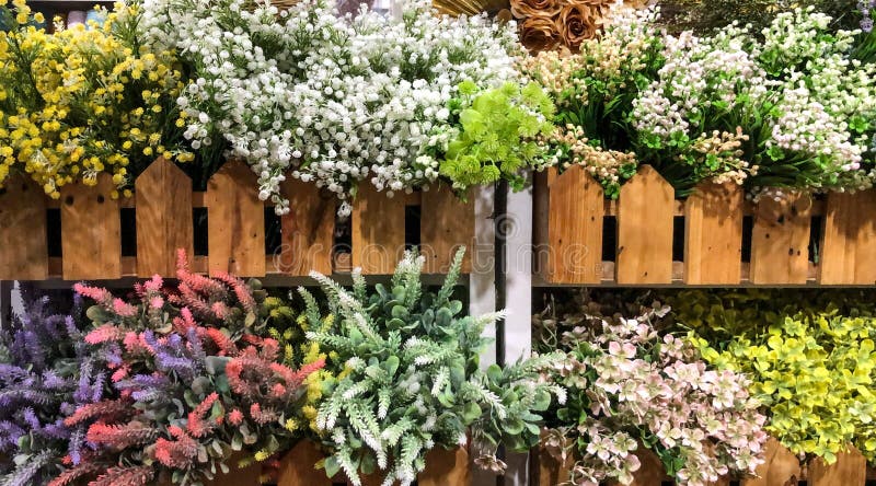 Flower stock image. Image of lilyflow, beauty, flower - 230494663