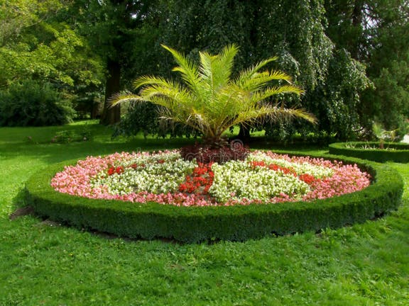 Flower-bed stock photo. Image of horticulture, green, fresh - 8364928