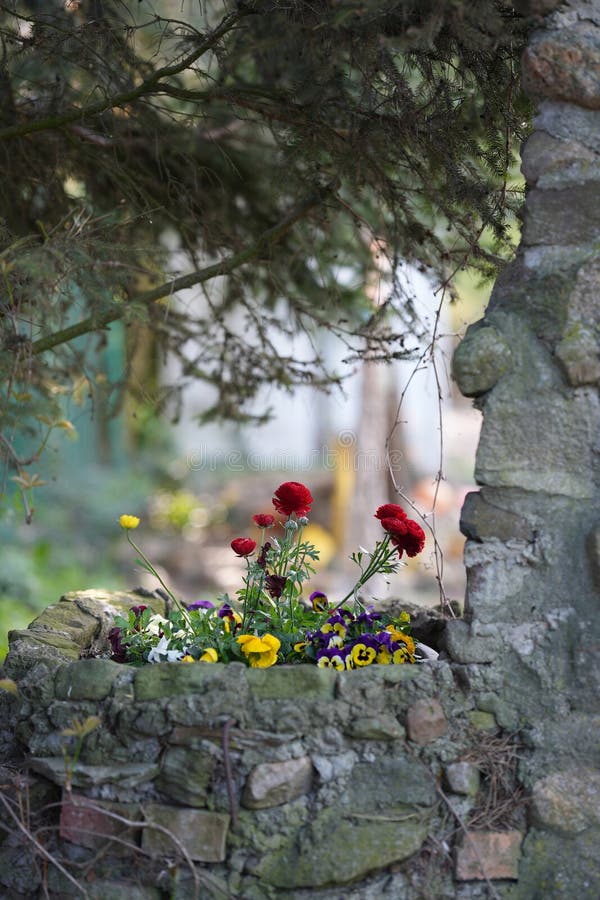 Flower Bed with Flowers from Decorative Stone Stock Photo - Image of ...