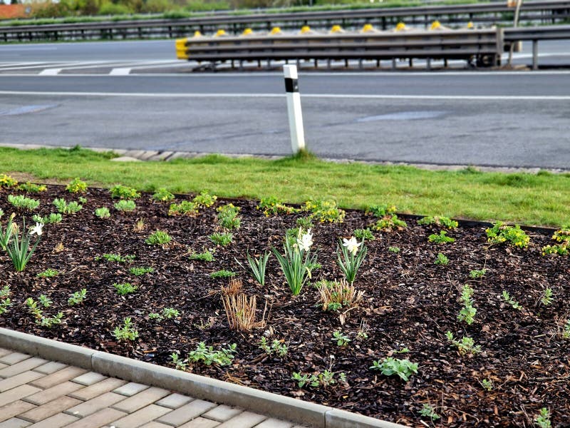 A Flower Bed at a Freeway on-ramp with a Crash Barrier Barrier at an ...