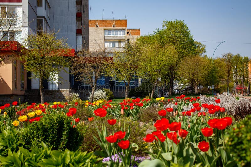 A Flower Bed in the Middle of a City with Lots of Flowers Stock Image ...