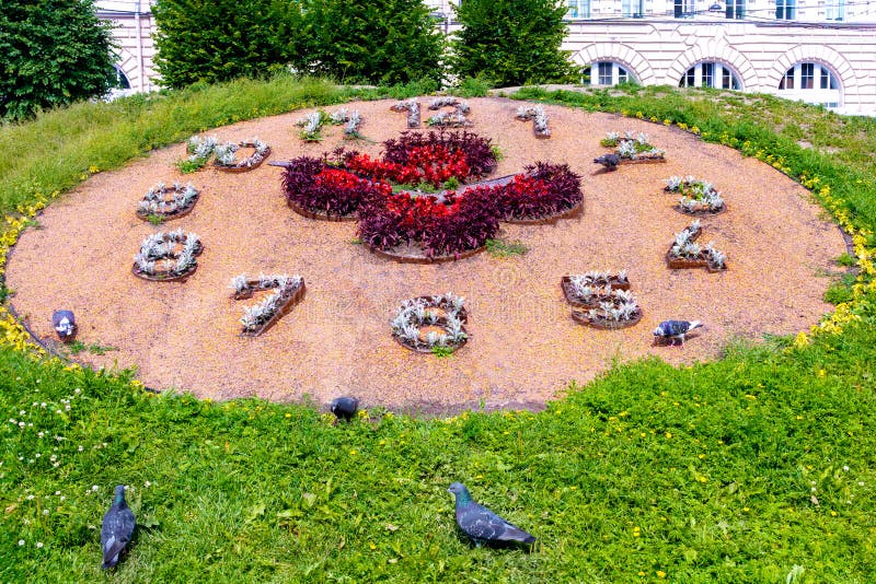 Flower Bed in Shape of Clock. Walking Pigeons Stock Photo - Image of ...