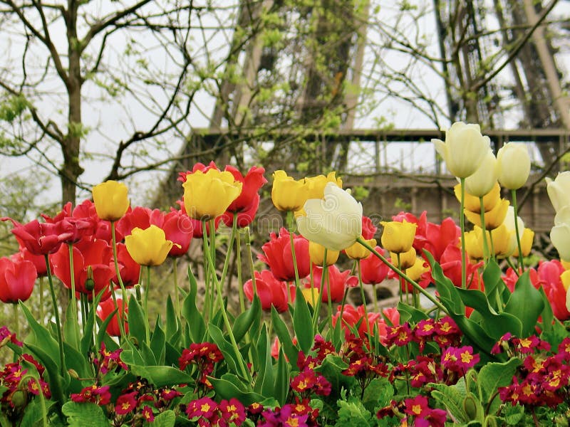 Flower Bed in Front of the Eiffel Tower Stock Image - Image of landmark ...